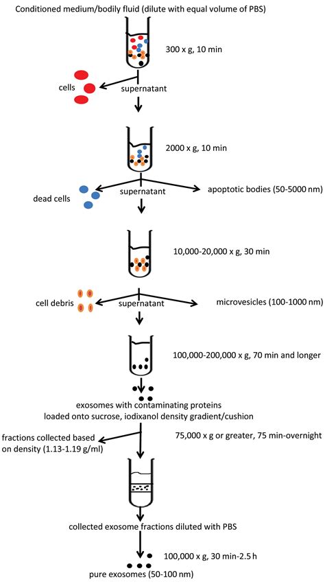 Centrifugation Et Ultracentrifugation Pdf