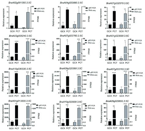 An Evaluation Of The RNA Seq Results With QRT PCR The Values Represent