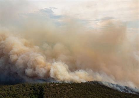 Incendios forestales afectan a más de una veintena de Áreas Naturales