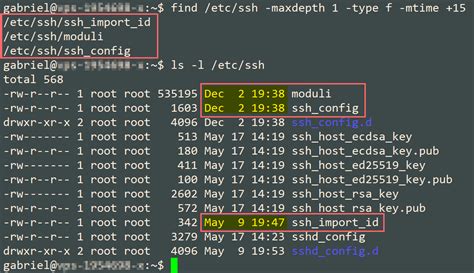 Cómo buscar con la línea de comandos de Linux