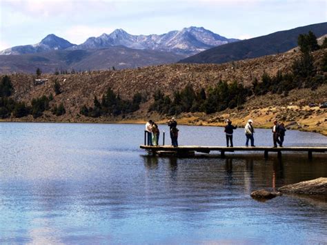 Los Ecosistemas Del Parque Sierra Nevada De Venezuela Venezuela Ser