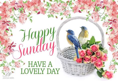 Have A Lovely Sunday Good Morning Premium Wishes Sunday Greetings