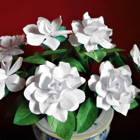 Gardenia Paper Flower Templates Video Tutorial Instant Etsy