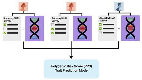 Polygenic Risk Score PRS Traits
