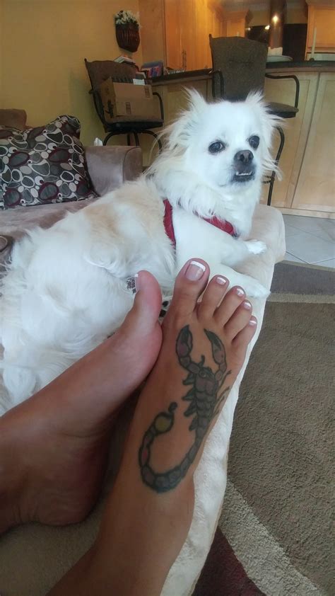 Brianna Beachs Feet