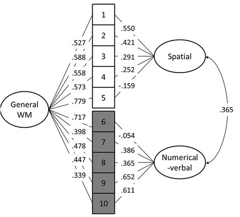 frontiers a latent factor analysis of working memory measures using large scale data