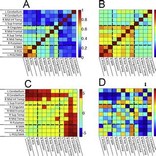 Correlation Matrices Of The BOLD Signal Between 12 ROIs Showing