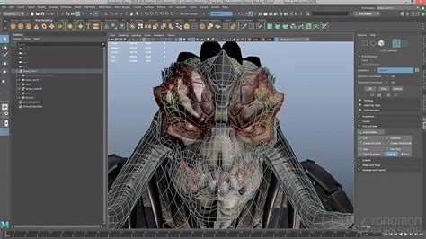 Blender Vs Maya 3D Modeling Software Compared All3DP
