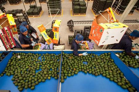 Las exportaciones agropecuarias de México crecen 10 5 en abril