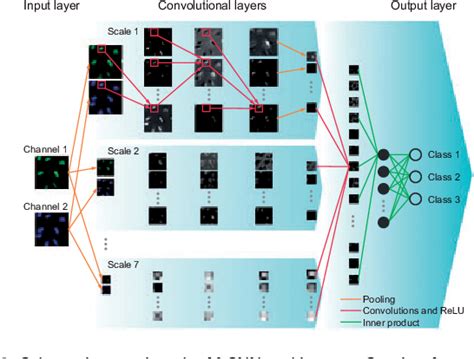 [pdf] a multi‐scale convolutional neural network for phenotyping high‐content cellular images