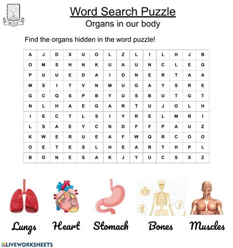 Nd Grade Worksheets Word Puzzles Body Organs School Subjects
