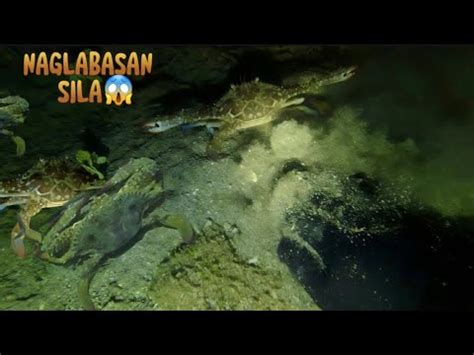 NAGLALABASAN NGA SA LUGAR NA ITO EPISODE 140 NIGHT SPEARFISHING