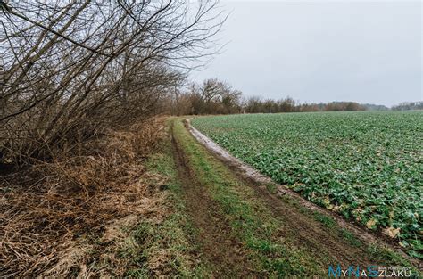 Zakole Bugu Zosin najdalej na wschód wysunięty punkt Polski Kobieta