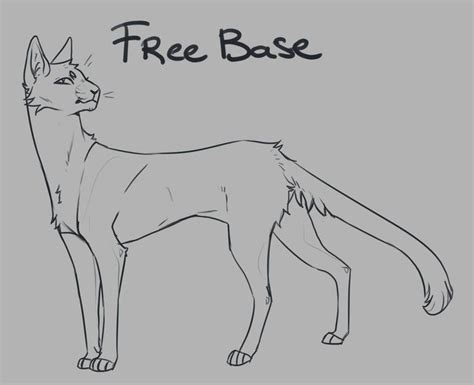 Free Cat Base By Niuwna On DeviantArt Warrior Cat Drawings Warrior
