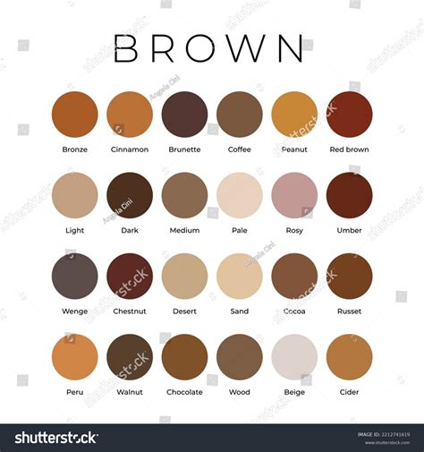 Brown Color Shades Swatches Palette With Names Vector Image Ponasa