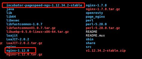 安装nginx带有ngx pagespeed fangsheng420 博客园