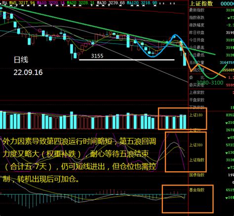 投资者该如何参与关键点位的短线反弹 中金在线财经号