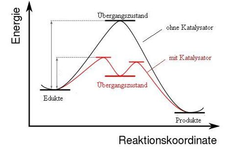 Exotherm Und Endotherm
