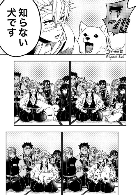 Kochou Shinobu Kanroji Mitsuri Rengoku Kyoujurou Tomioka Giyuu Shinazugawa Sanemi And 5