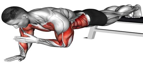 The Best Home Chest Workout No Equipment Needed Youtube