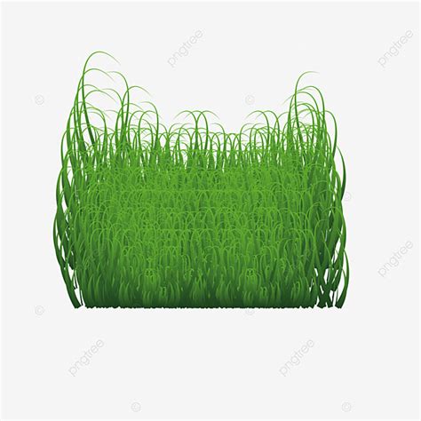 Green Grass Vector Hd PNG Images Grass Vector Design Green Grass