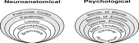 neural substrates of implicit and explicit emotional process psychosomatic medicine