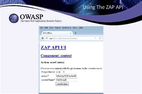 automated security testing using the zap api