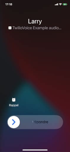 Npm React Native Twilio Phone Skypack