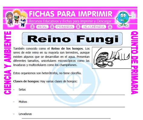 Fichas De Ciencia Y Ambiente Para Quinto De Primaria 31 FICHAS