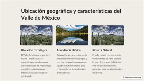 Fundaci N De Tenochtitl N M Xico Profe Social