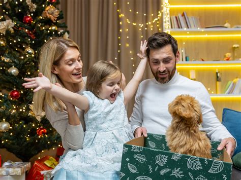 Lo Que Debe Considerar Antes De Regalar Una Mascota EnSalud