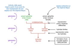Controle Svt Evolution Des Organismes Vivants Et Histoire De La Terre