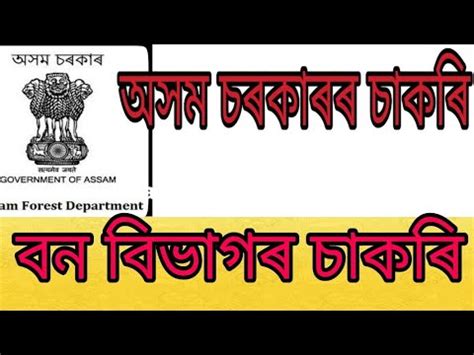 1000 পদ অসম চৰকৰৰ বন বভগত বমপৰ ভৰত YouTube