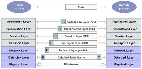 Diagram Explain All The Layers Of The Osi Reference Model With A
