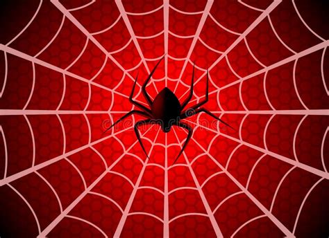 Spider Web Cobweb Trap Gossamer Halloween Graphic Silhouette Stock