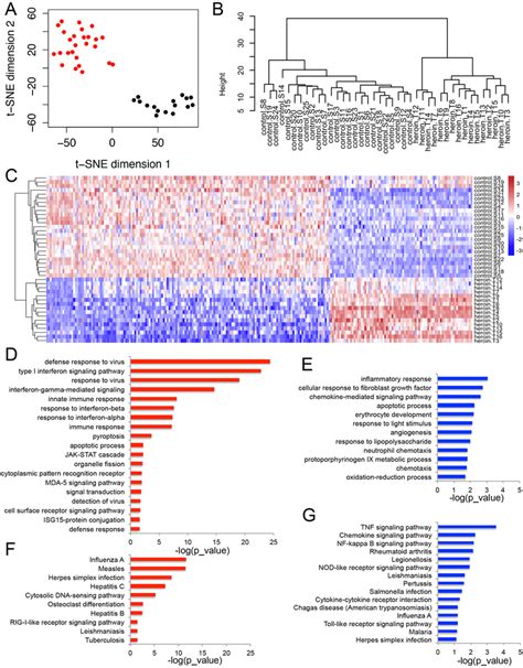 Transcriptome Sequencing Analysis Of 16 HDPs And 25 Healthy Controls