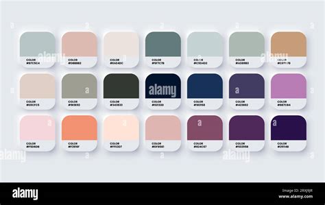 Color Palette Color Swatches In RGB HEX Colors Pastel Colour In HEX