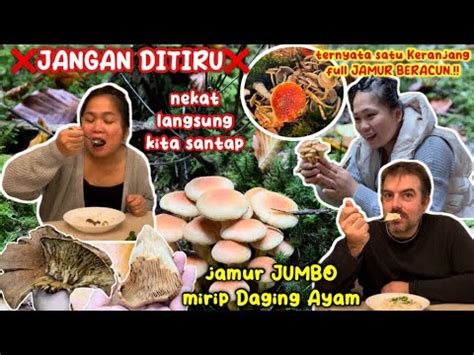 JANGAN DITIRU BAWA PULANG 1 KERANJANG JAMUR LANGSUNG KITA SANTAP