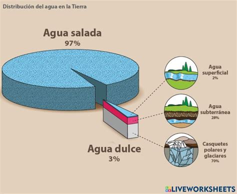 Gráfico de la distribución del agua worksheet in 2023 Chart Pie chart