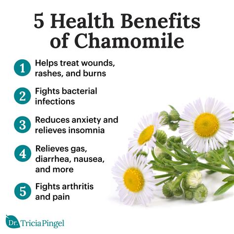 5 Health Benefits Of Chamomile Chamomile Tea Benefits Tea Benefits
