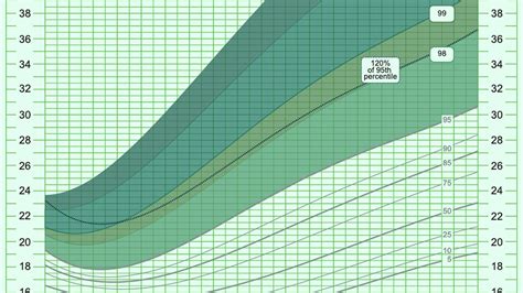 Bmi Chart An Overview Sciencedirect Topics Off