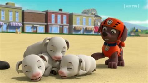 Replay TFou Du 23 01 2024 Paw Patrol La Pat Patrouille La Kermesse