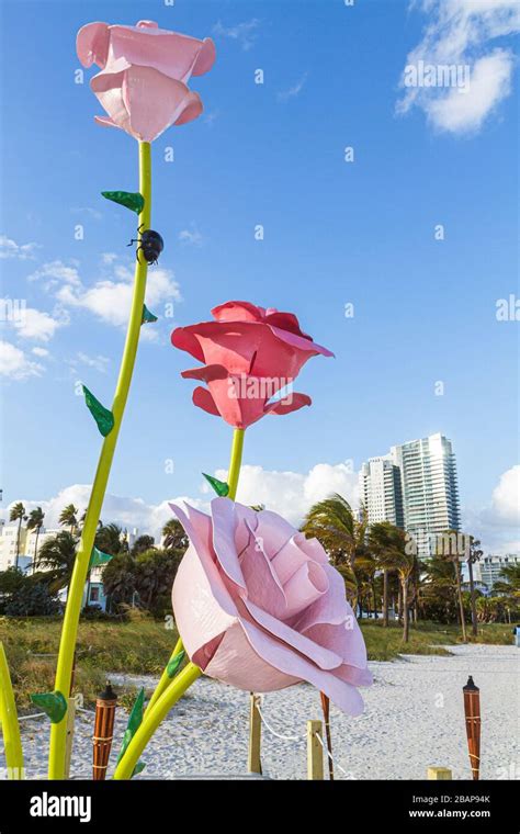 Miami Beach Florida Art Basel playas públicas de agua del Océano