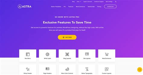 Difference Between Free And Paid WordPress Themes 2024 Hoshii