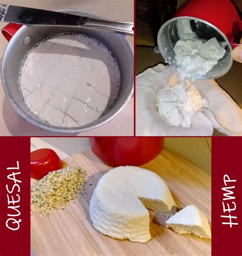 Cuajo De Quesos Y Transglutaminasa Todo Lo Que Debes Saber Queso