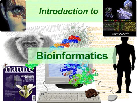 Introduction To Bioinformatics Lecture