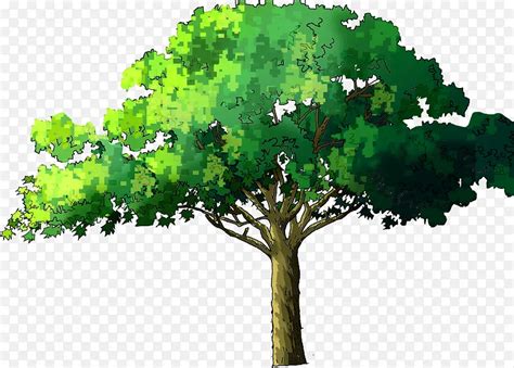 绿色手绘景观植物大树装饰PNG图片素材下载 图片编号qbborojx 免抠素材网