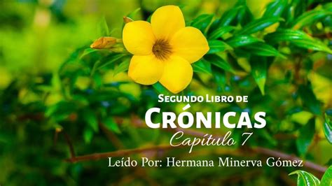 Segundo libro de Crónicas Capítulo 7 Leído Por Hermana Minerva