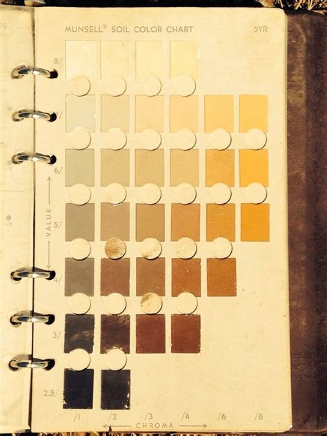 Munsell Soil Color Chart Book Page Munsell Color System Color Chart