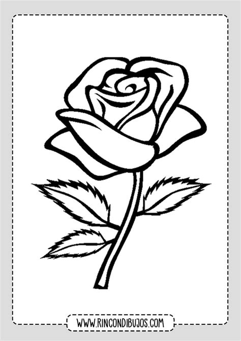 Dibujos De Flores Rosa Para Colorear Rincon Dibujos Dibujos De